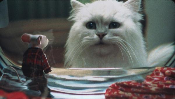 What it took to make 'Stuart Little's' fur, 20 years ago - befores & afters