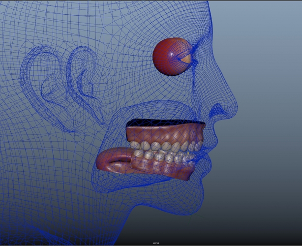 A step-by-step breakdown of 4D scanning - befores & afters