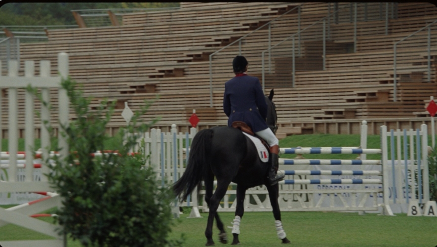 Hybride: adventures in crowds - befores & afters