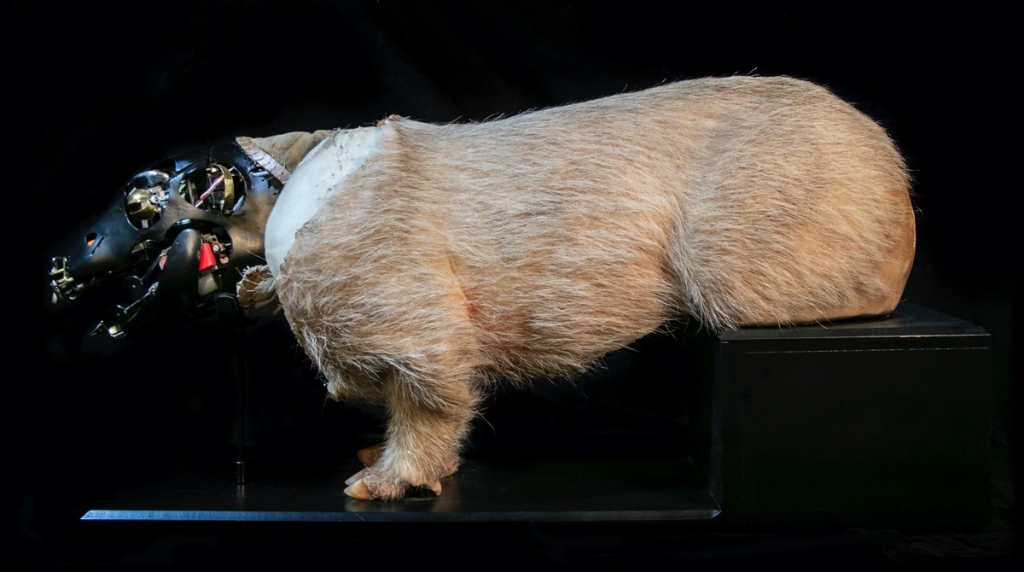 Neal Scanlan explains how Babe the pig was puppeteered - befores & afters