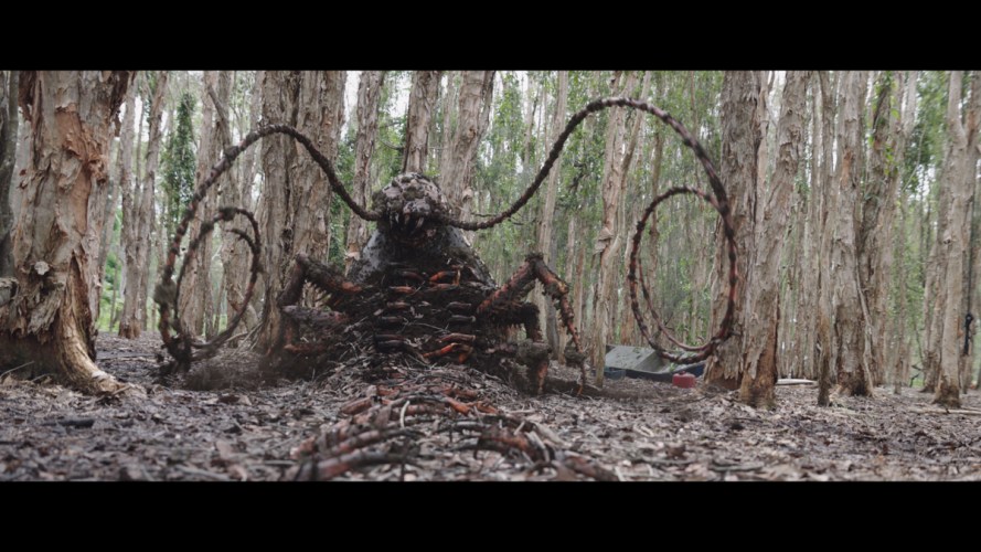 'That blow-up crab is one of the best things that happened to me in my ...