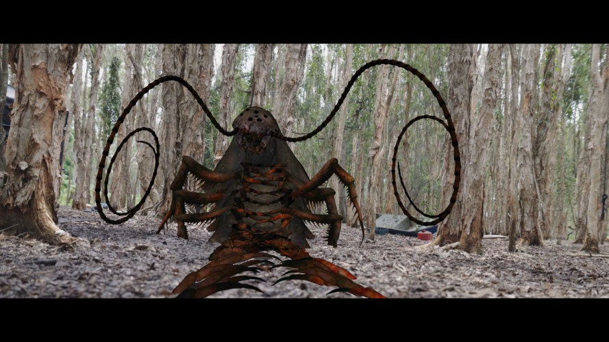 'That blow-up crab is one of the best things that happened to me in my ...