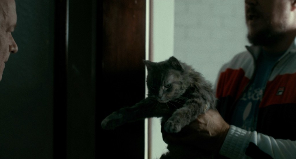 Tom Hanks’ cat in ‘A Man Called Otto’ is a mix of live-action ...