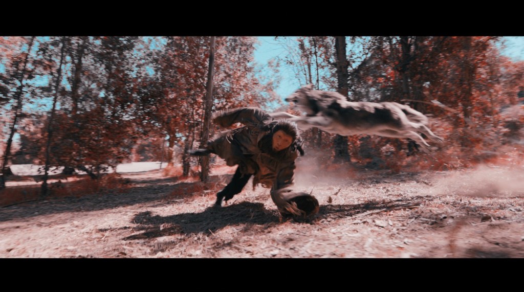 Effects of heaven and earth: a more grounded Monkey King story ...