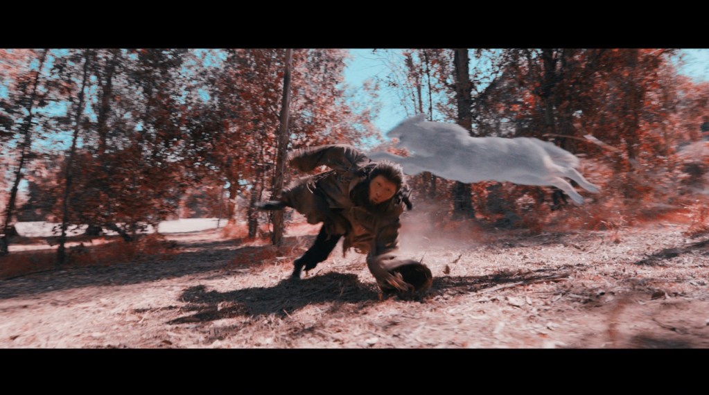 Effects of heaven and earth: a more grounded Monkey King story ...