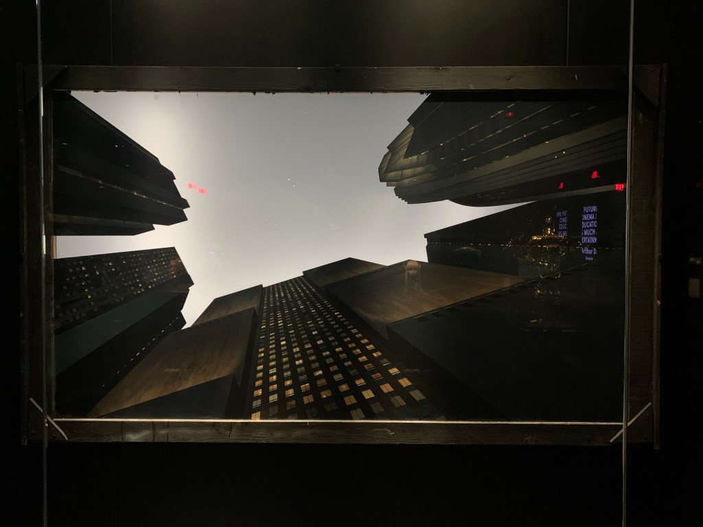 ‘I would love for a curious and interested audience to know how a matte ...