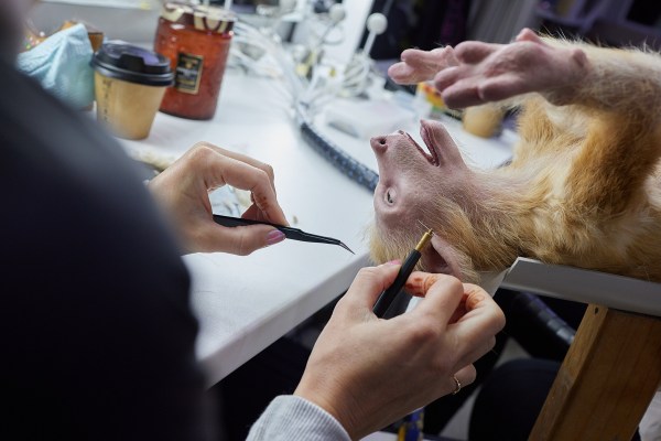 How the crazy werewolf practical effects were made for 'Wolf Like Me ...