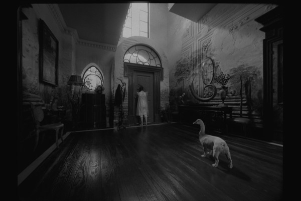 Miniatures, LED walls and live-action animals stitched together: the ...