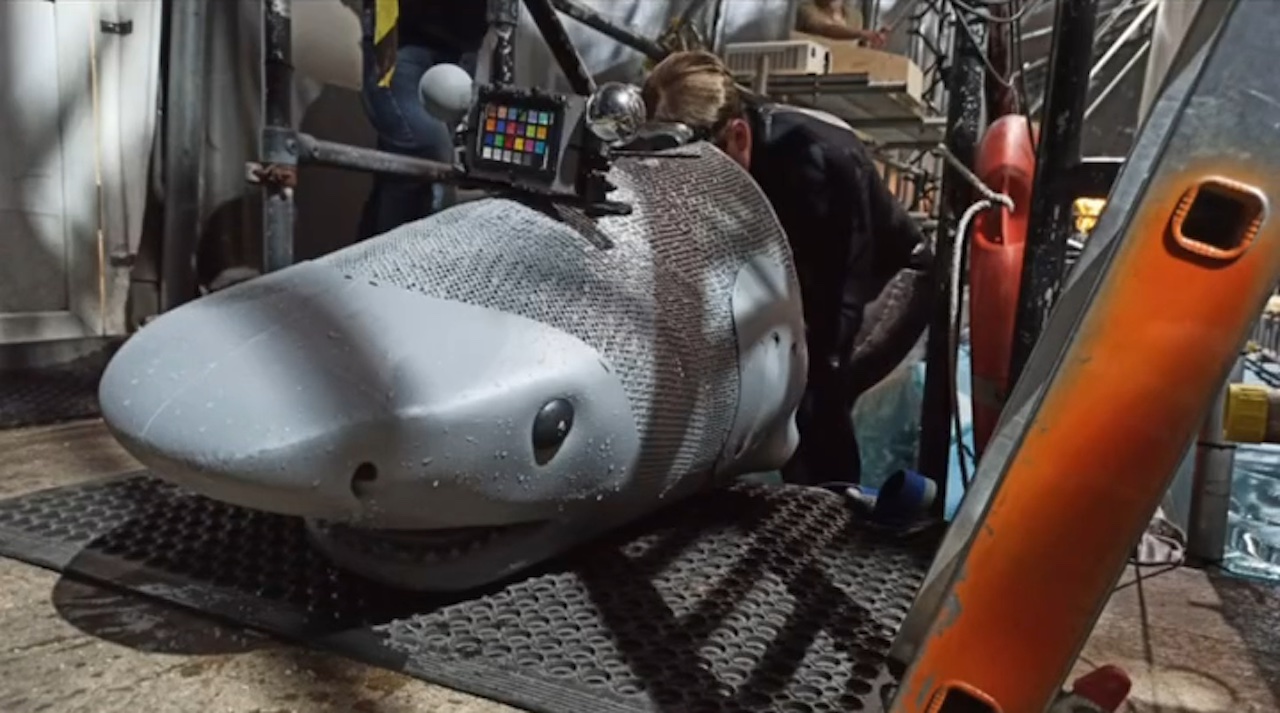 See the shark puppet used to help film 'No Way Up' - befores & afters