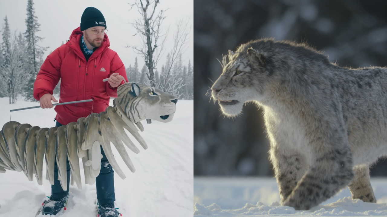 How Framestore helped make the creatures and cinematography of ...