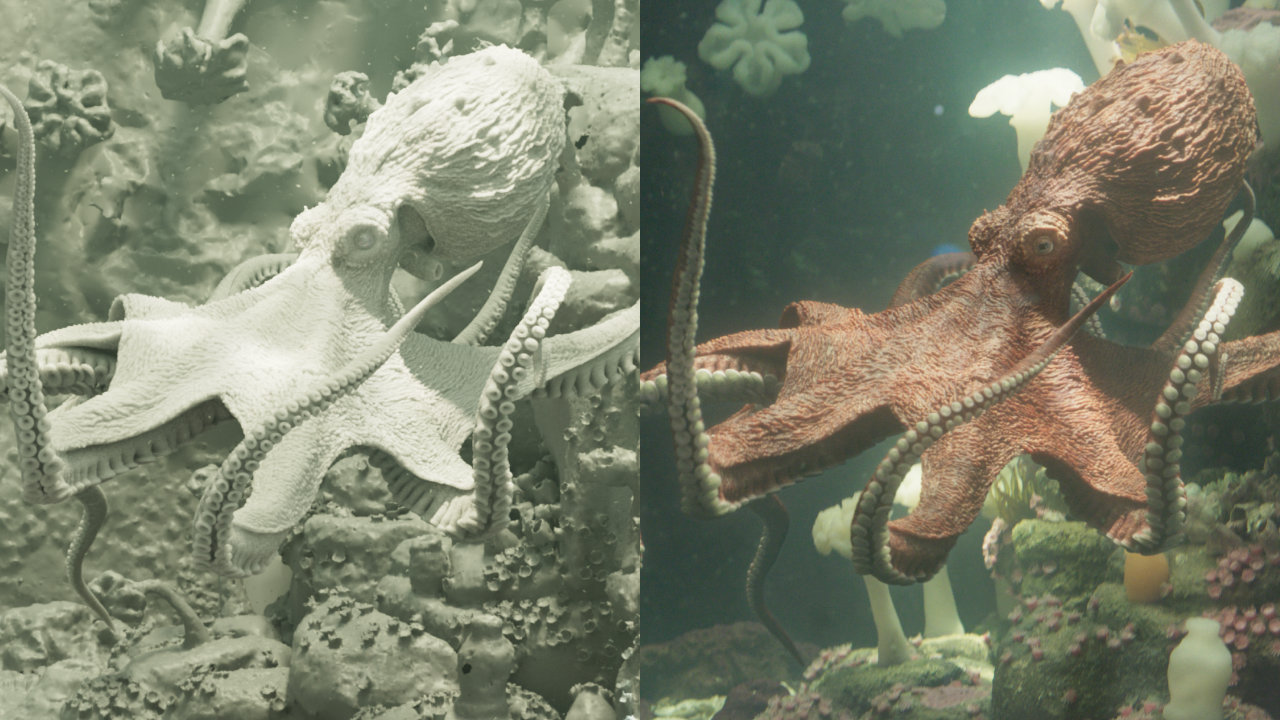 How to make a photoreal CG octopus: the VFX of 'Remarkably Bright ...
